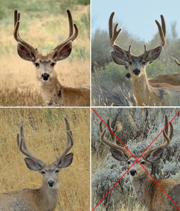 Frequently Asked Questions - Hill Air Force Base - iSportsman