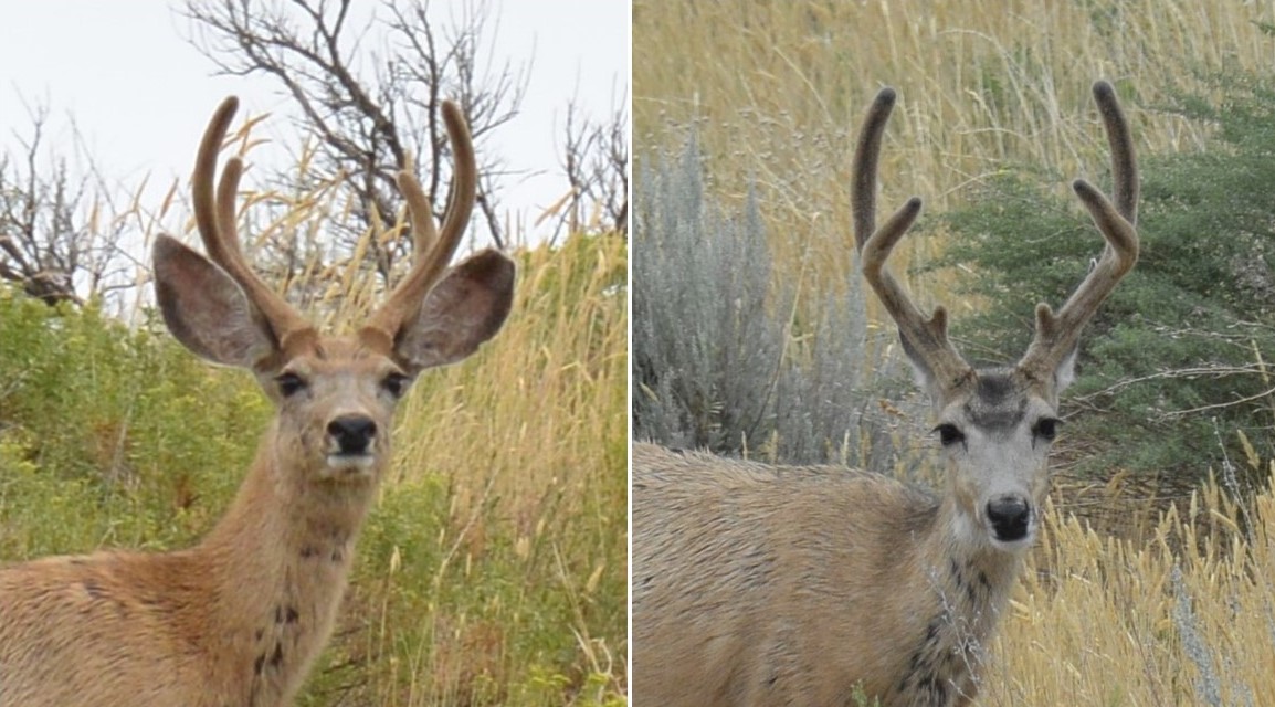 Frequently Asked Questions - Hill Air Force Base - iSportsman